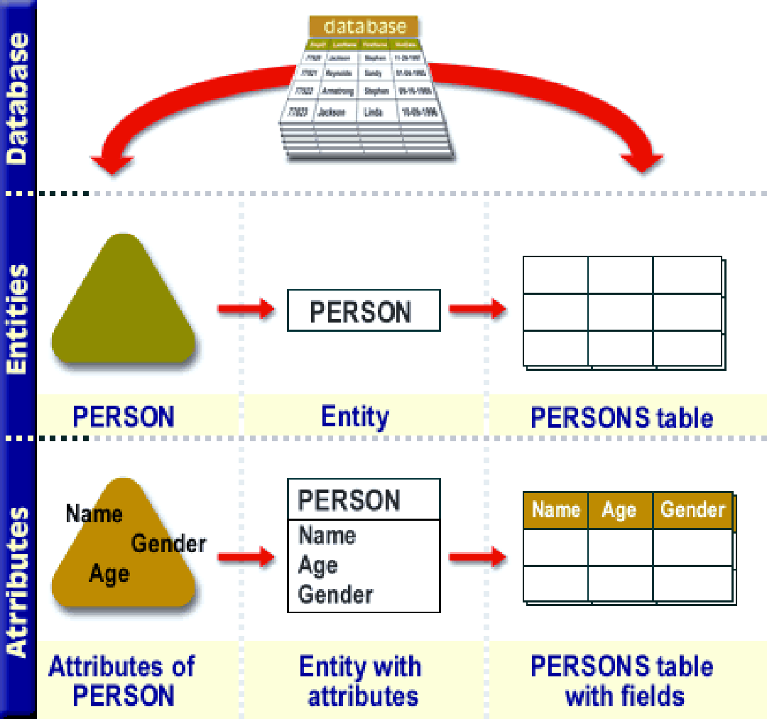 Define Entities, Attributes (ERD Model) Define Entities, Attributes (ERD Model)