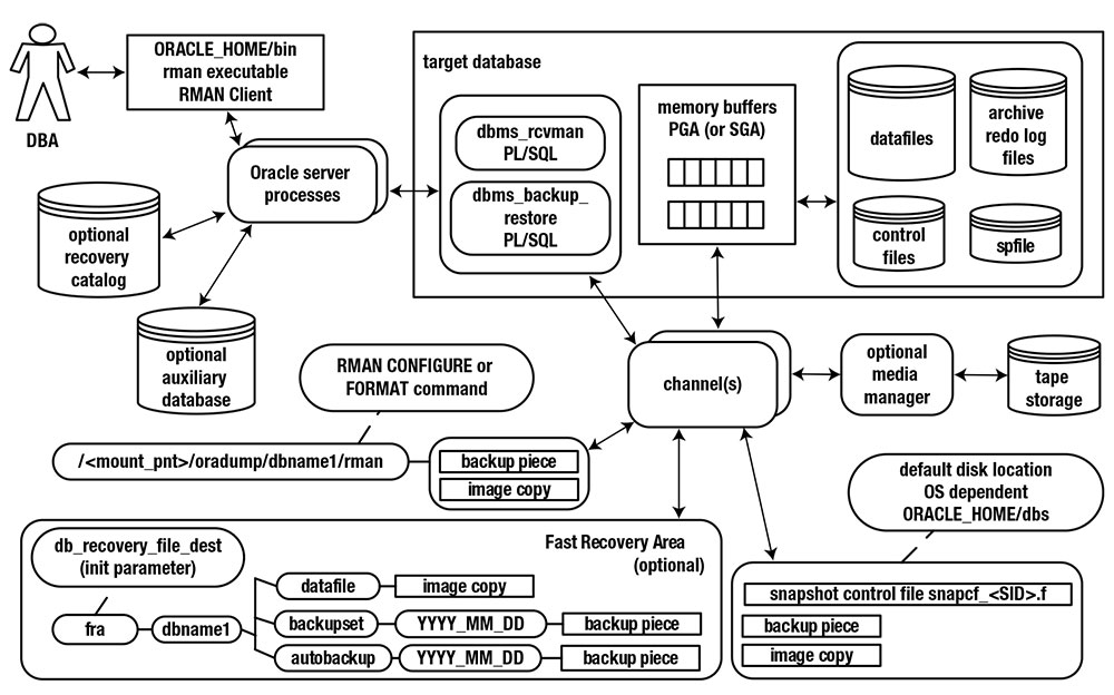 Sizing Recovery Catalog In Oracle